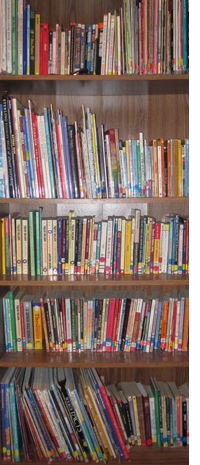 Bookcase_Closeup – For the Teachers